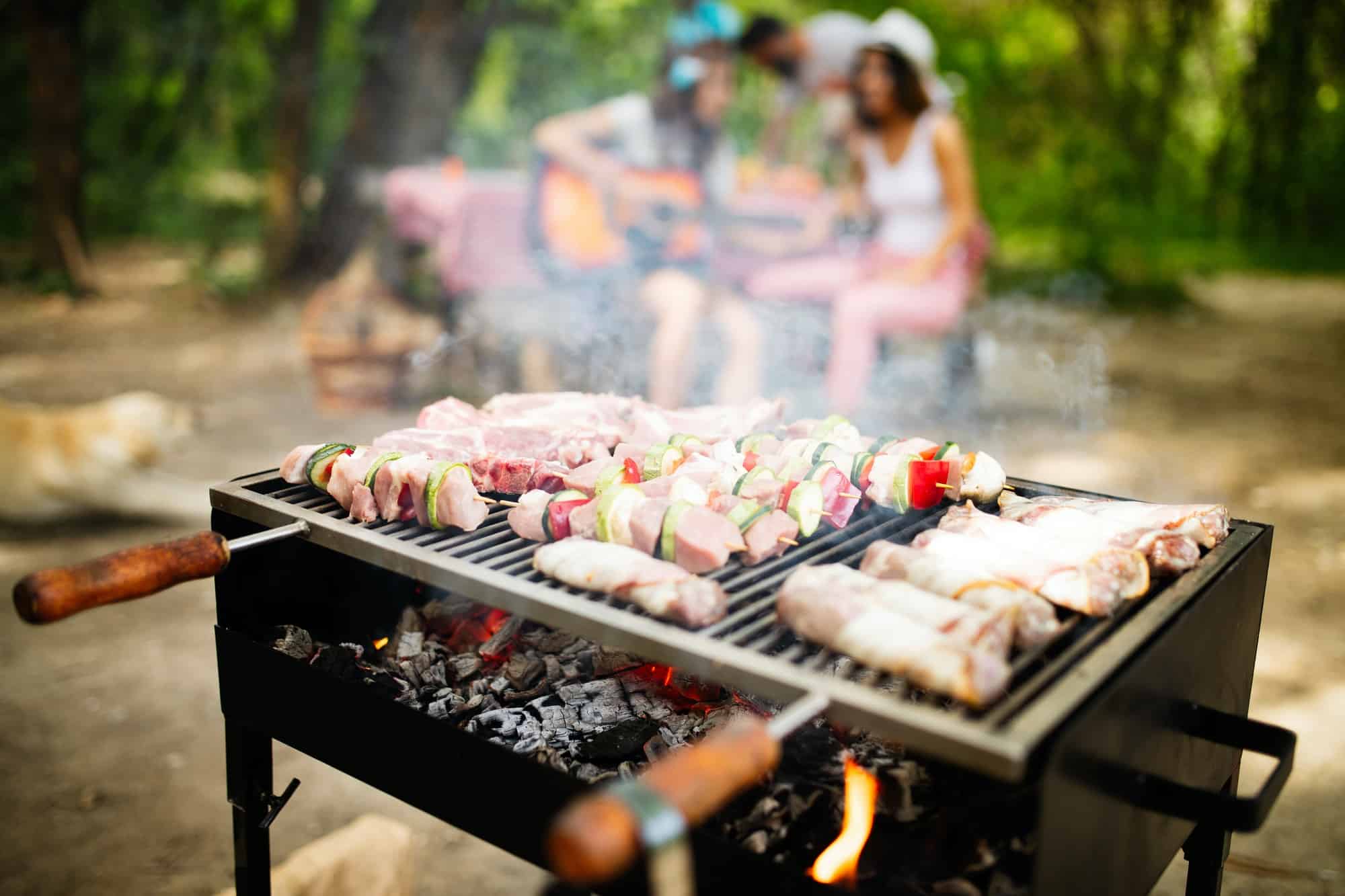 Gas Grill Vs Charcoal Grill Which Is Healthier Unassaggio