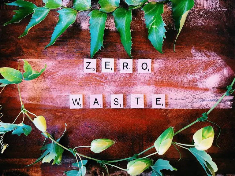 Zero Waste vs Recycling: What's The Difference? | UnAssaggio